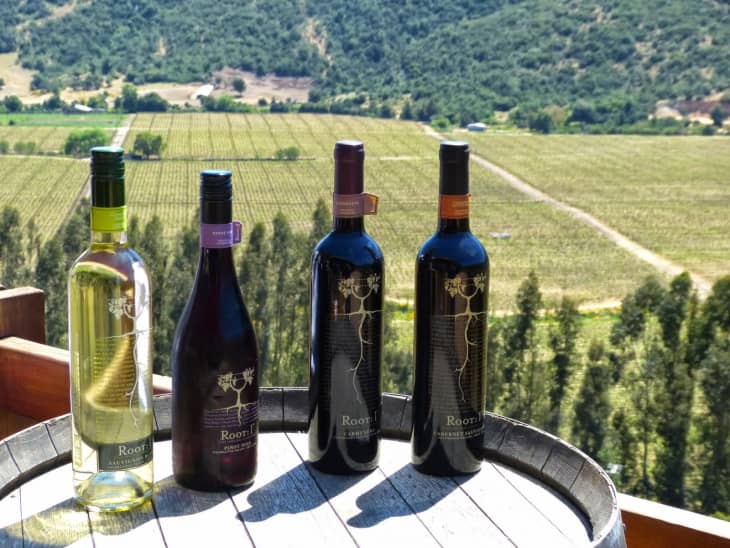 Root:1: Delicious Varietal Wines from Chile for Just $12 | The Kitchn
