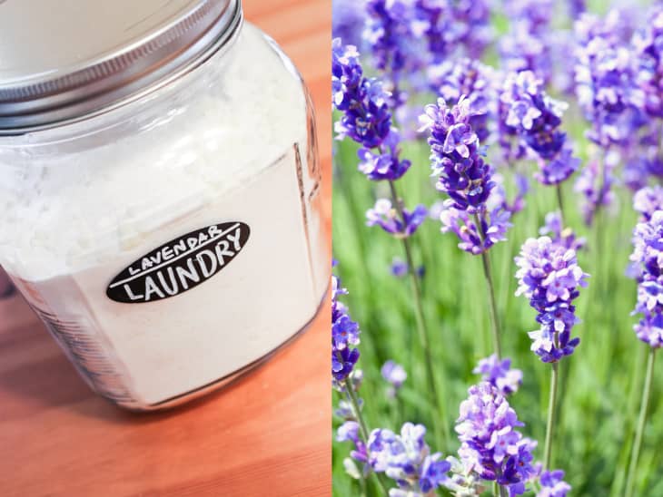How To Make Your Own Lavender Laundry Detergent | Apartment Therapy