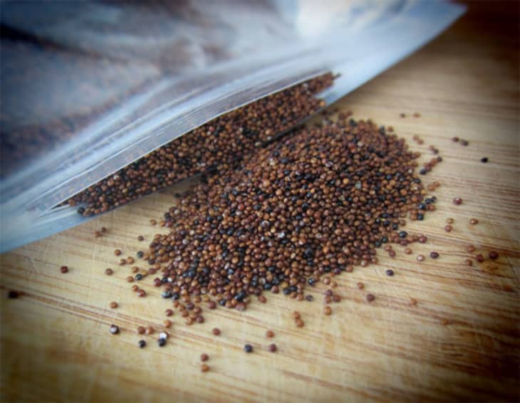 Kañiwa: Is This the New Quinoa? | The Kitchn