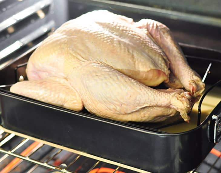 A Turkey Is Just Like a Chicken, Except Bigger | The Kitchn