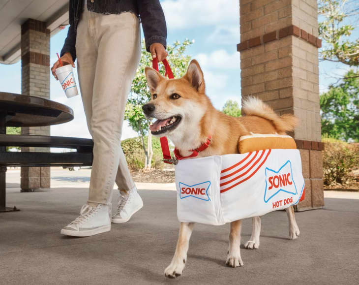 Yes, Sonic Sells Dog Halloween Costumes Now | Apartment Therapy