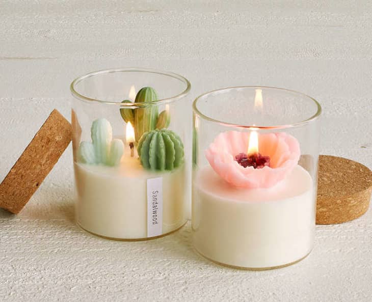 These Terrarium Candles Are Almost Too Pretty to Light | Apartment Therapy