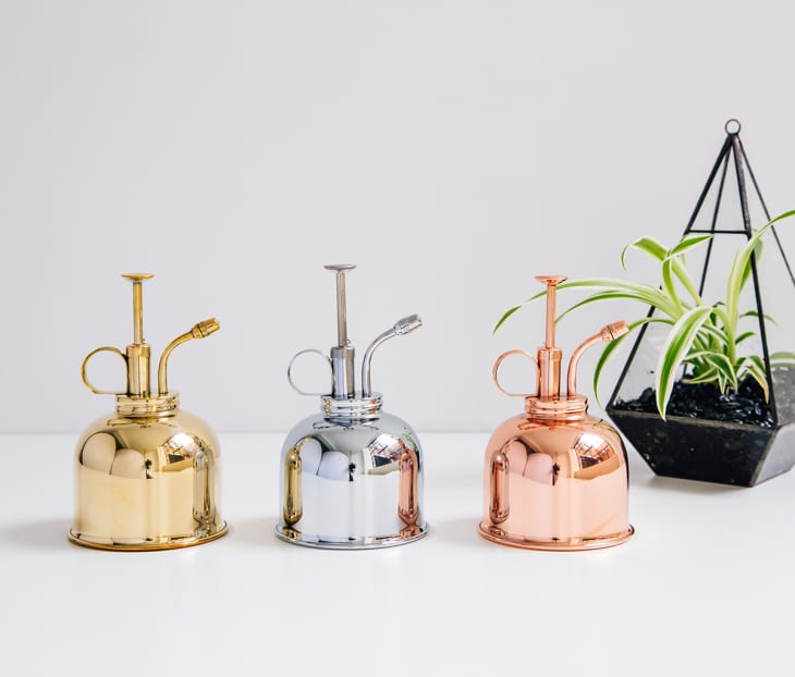 5 Pretty Plant Misters for Your Kitchen Herb Garden | The Kitchn