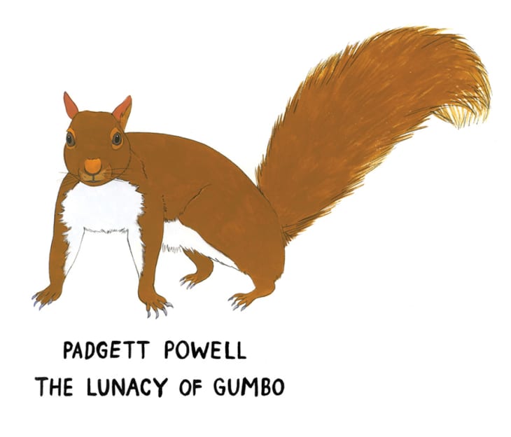 Author Padgett Powell Discovers Gumbo | The Kitchn
