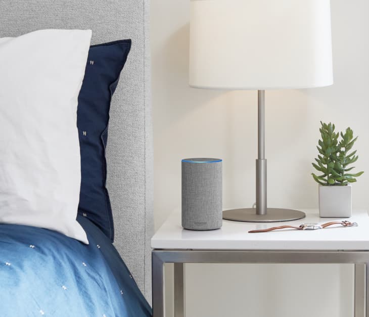 Amazon Customers Can Tell Alexa To Plant A Tree Earth Day | Apartment ...