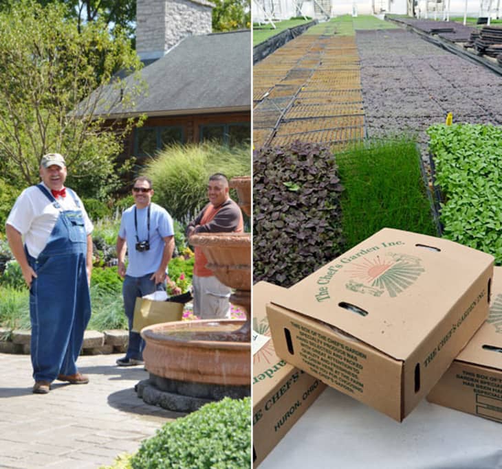 The Chef’s Garden: A Very Unusual Family Farm in Ohio | The Kitchn