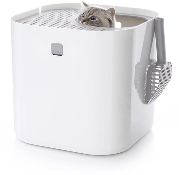Stylish Litter Boxes, Cat Scratch Posts & Other Design-Savvy Decor For ...