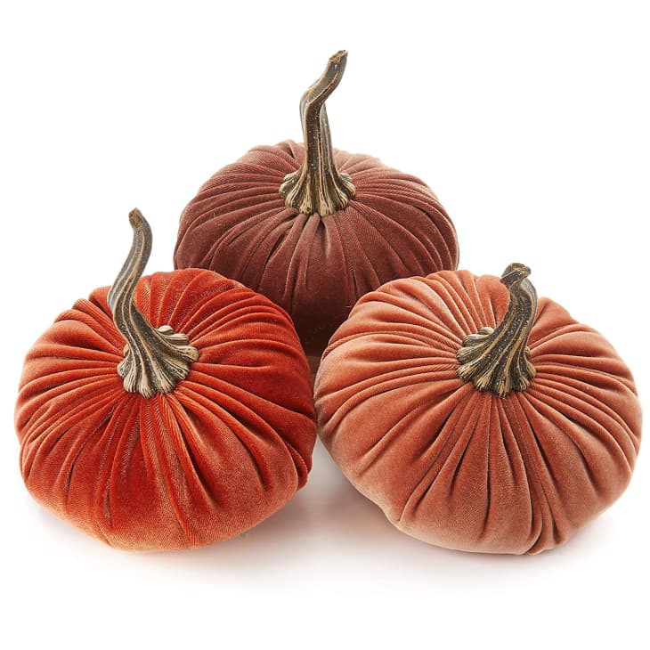 Amazon Handmade Velvet Pumpkins Fall Decor 2021 | Apartment Therapy