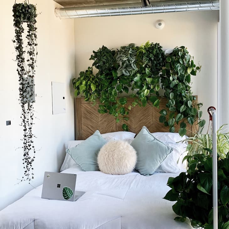 Plant Filled 400 Square Foot Studio Apartment | Apartment Therapy