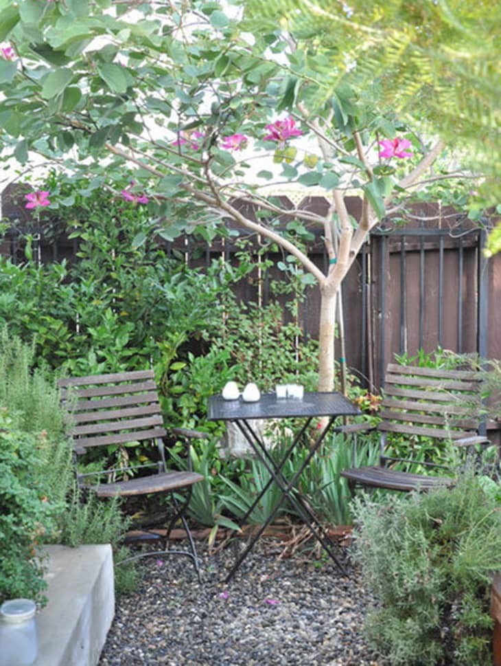 5 Ways to Bring More Texture to Your Garden—And Why It’s Good to Do So ...