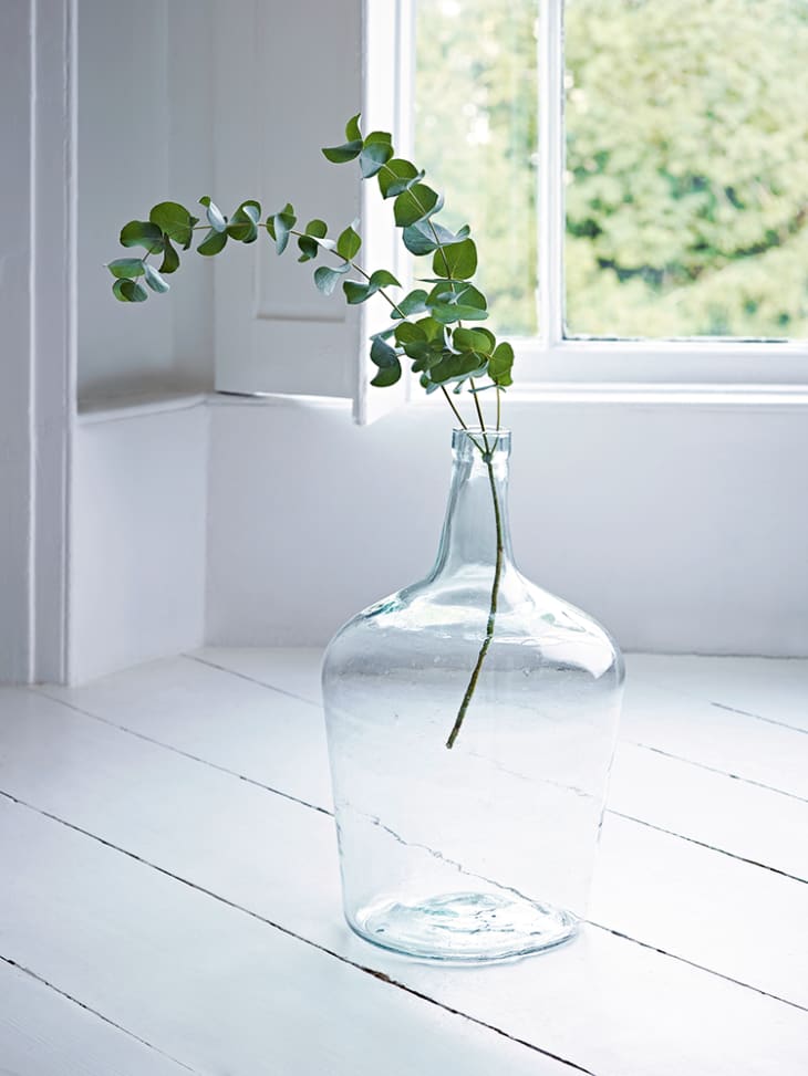 Really Big, Extra Large Vases: Where To Buy Guide | Apartment Therapy