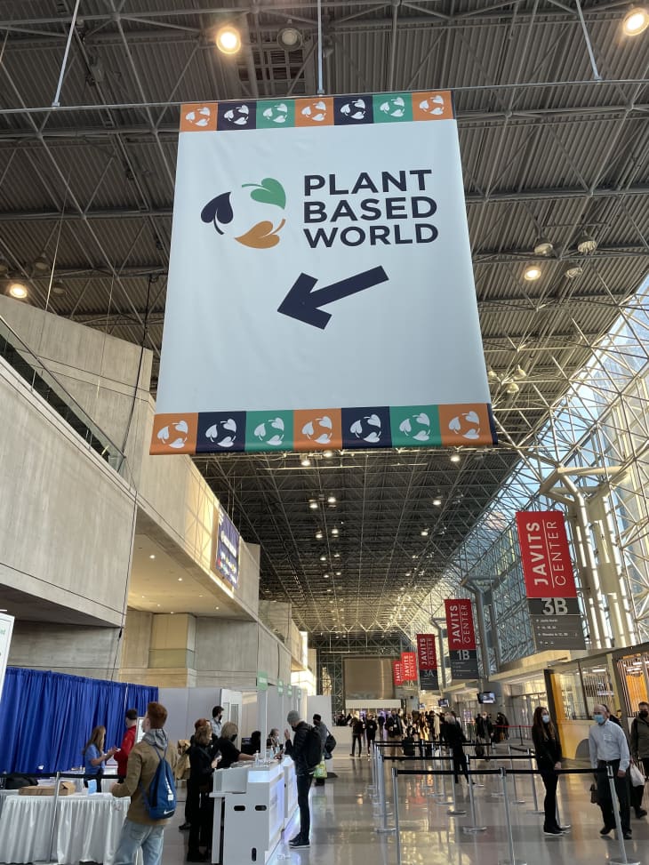 Plant Based World Expo 2021 - Wonderlab’s Doozy Pots Plant-Based Gelato ...