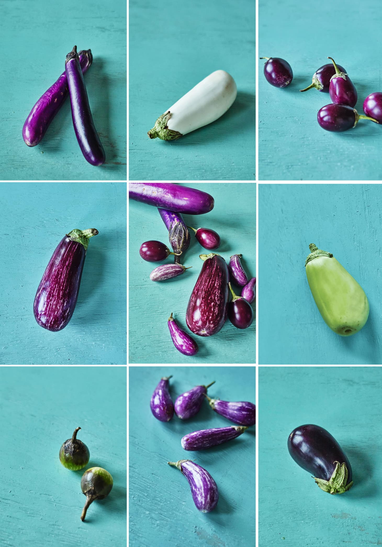 Our Best Eggplant Recipes, Ideas, and Tips | Kitchn