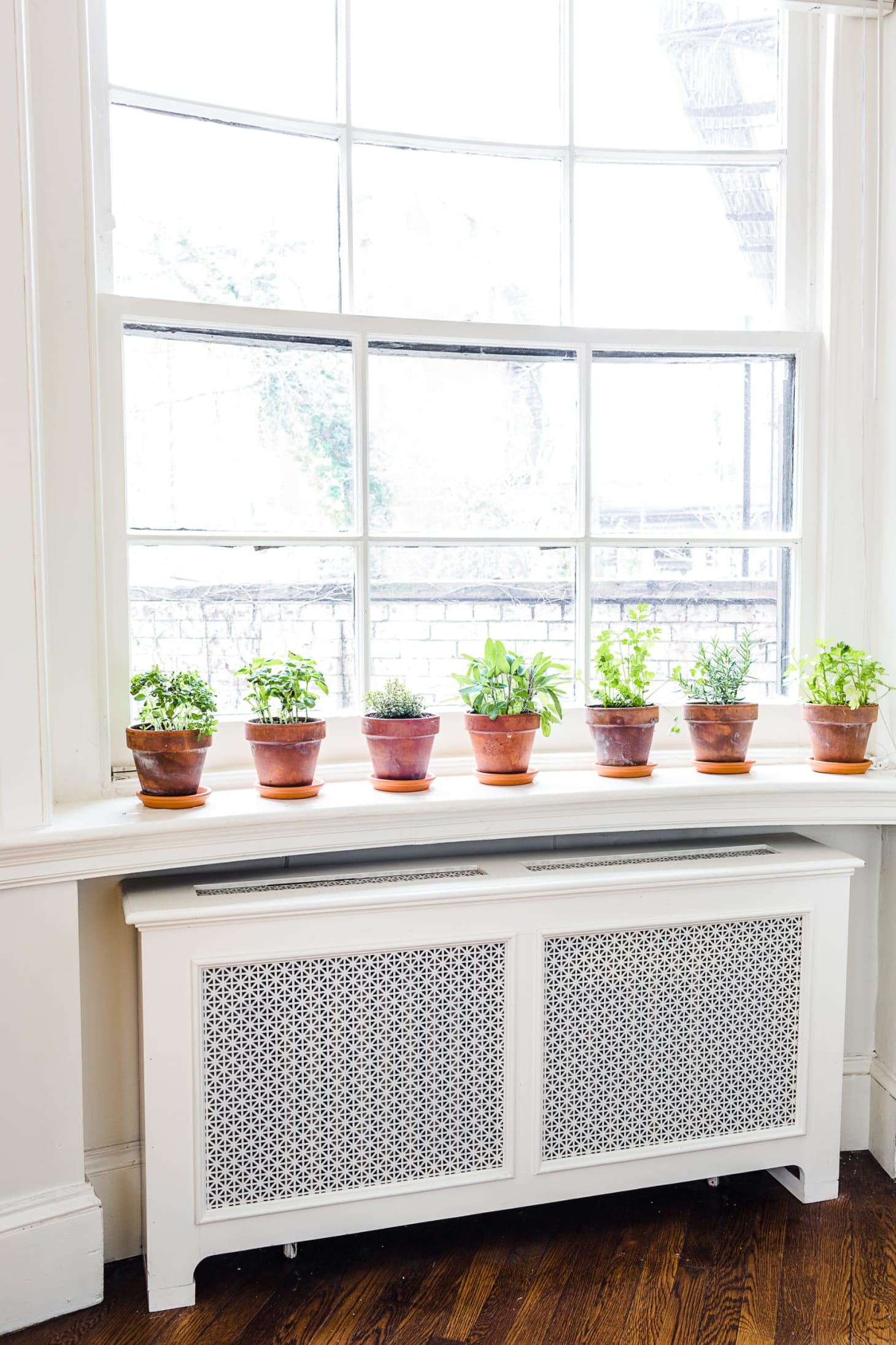 Stylish Windowsill Displays That'll Inspire More Than Just a Green ...