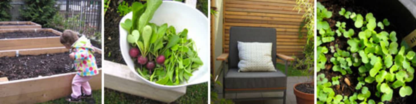 Andrea’s Mini Urban Farm | Apartment Therapy