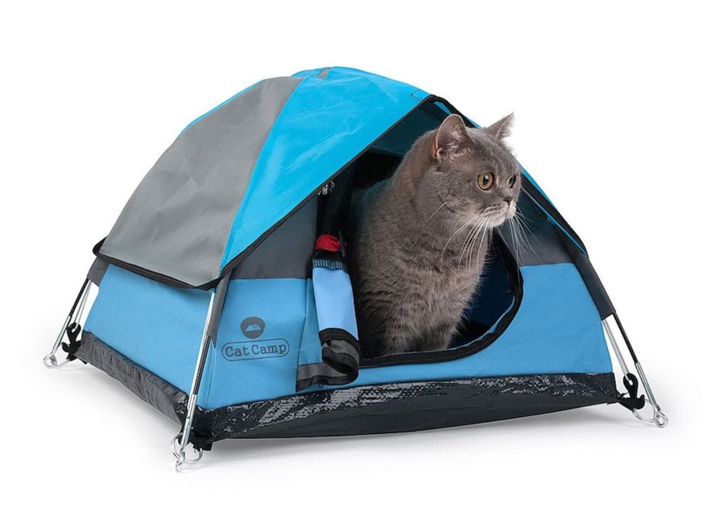 Cat Camp Sells Tent For Cats | Apartment Therapy