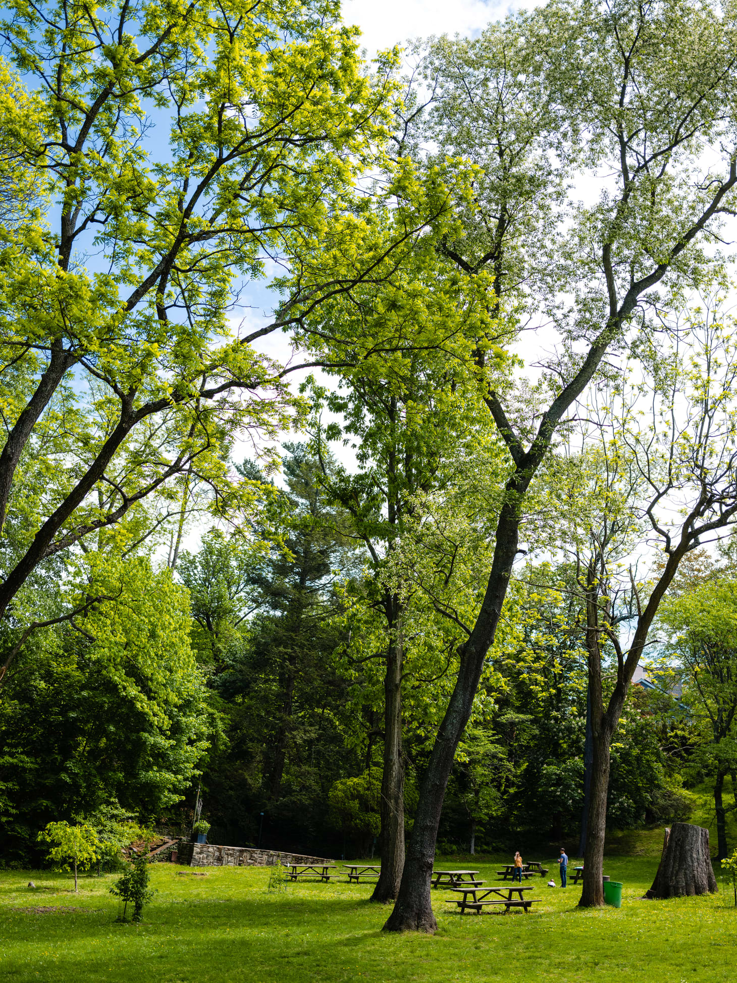 Here’s What To Do and Where To Eat in Media, Pennsylvania | Apartment ...