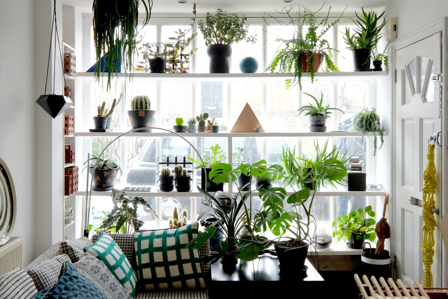 How to Display Houseplants: 65 of Our Favorite Plant-Display Ideas ...