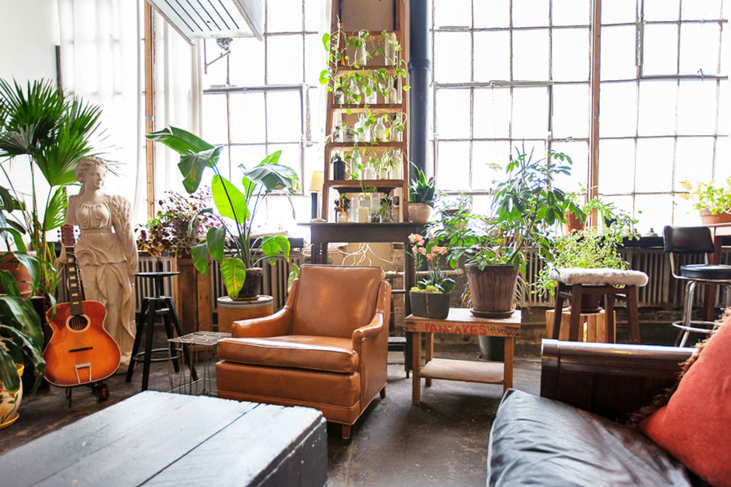 Plant-Filled Home Inspiration Photos | Apartment Therapy