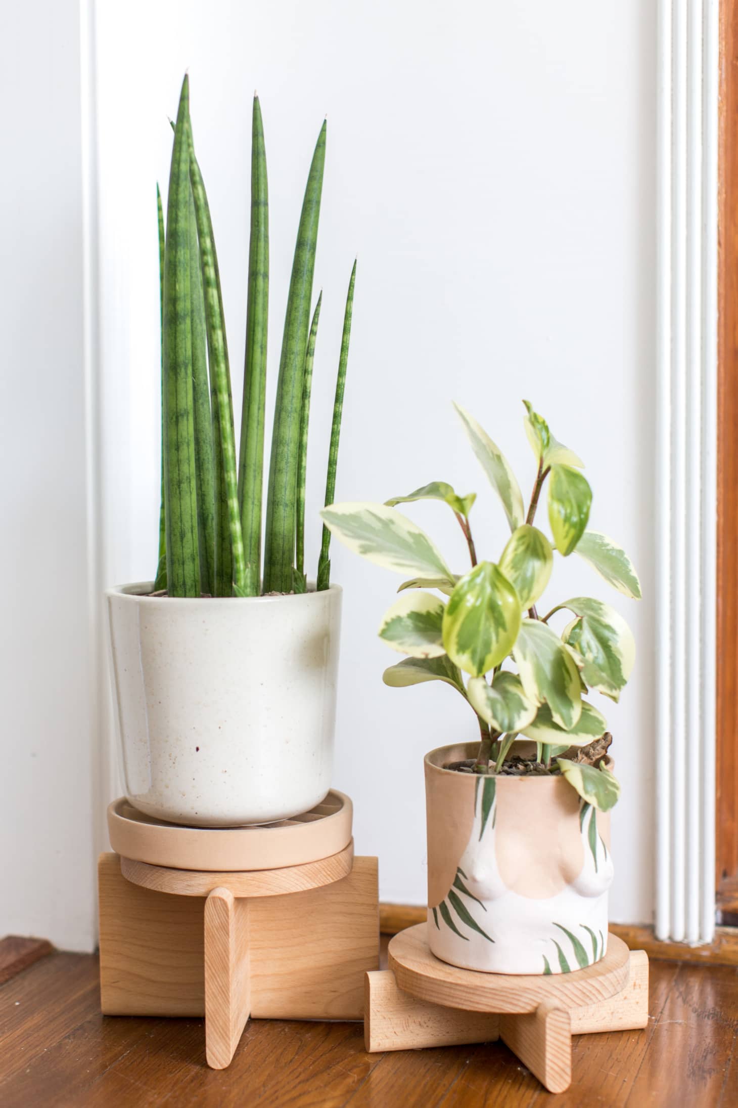 How to Display Houseplants: 65 of Our Favorite Plant-Display Ideas ...