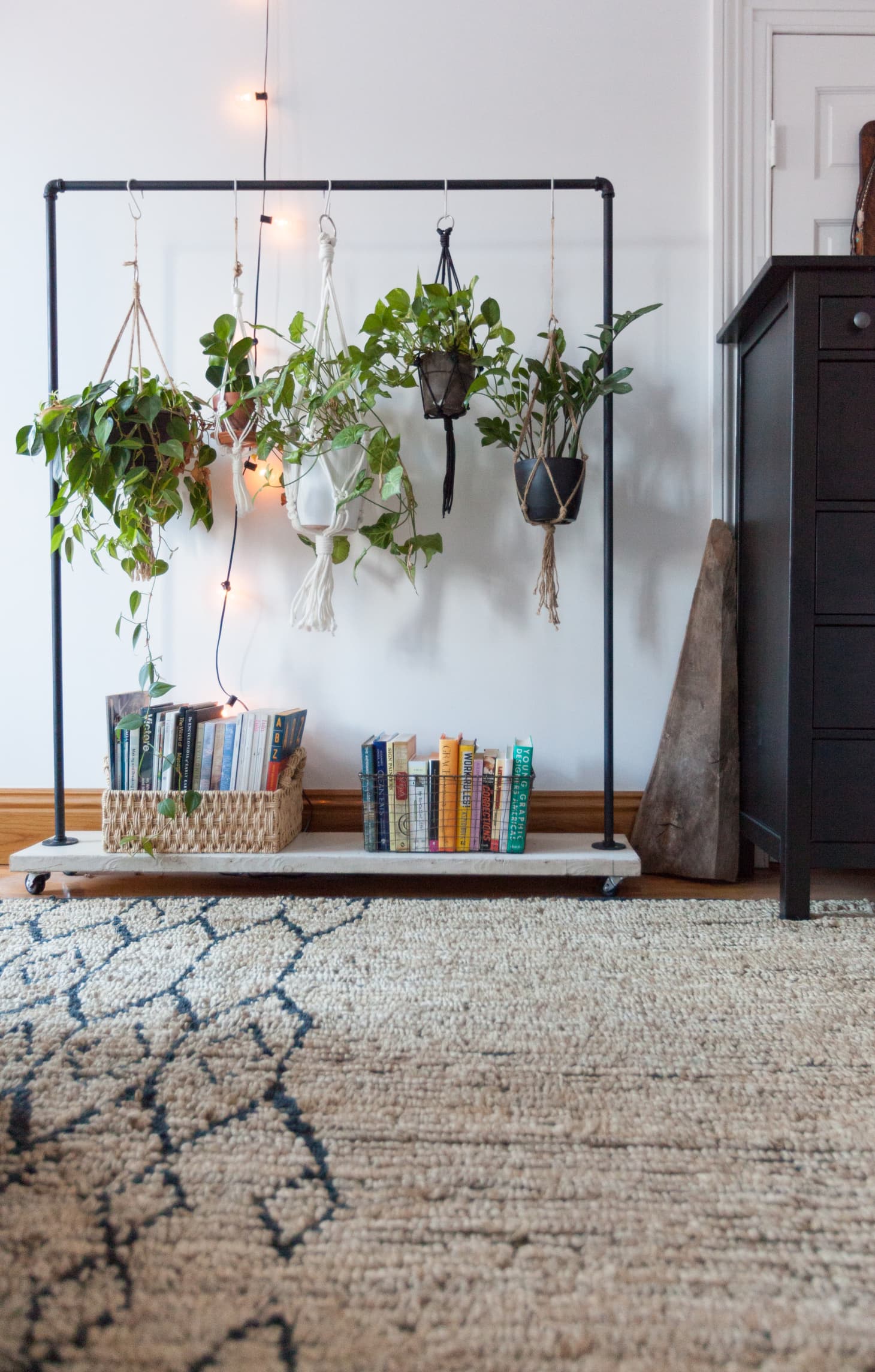 How to Display Houseplants: 65 of Our Favorite Plant-Display Ideas ...