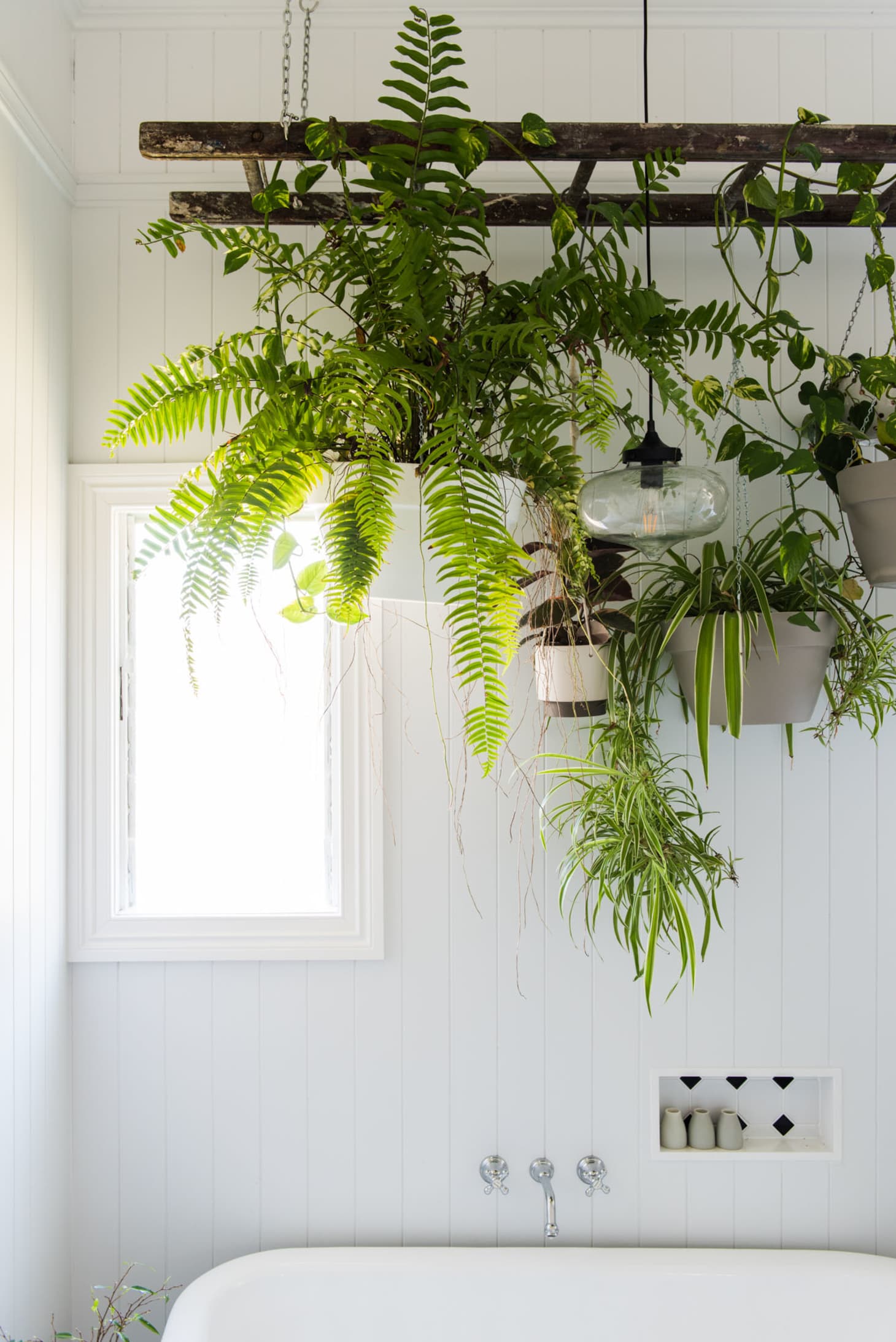 How to Display Houseplants: 65 of Our Favorite Plant-Display Ideas ...