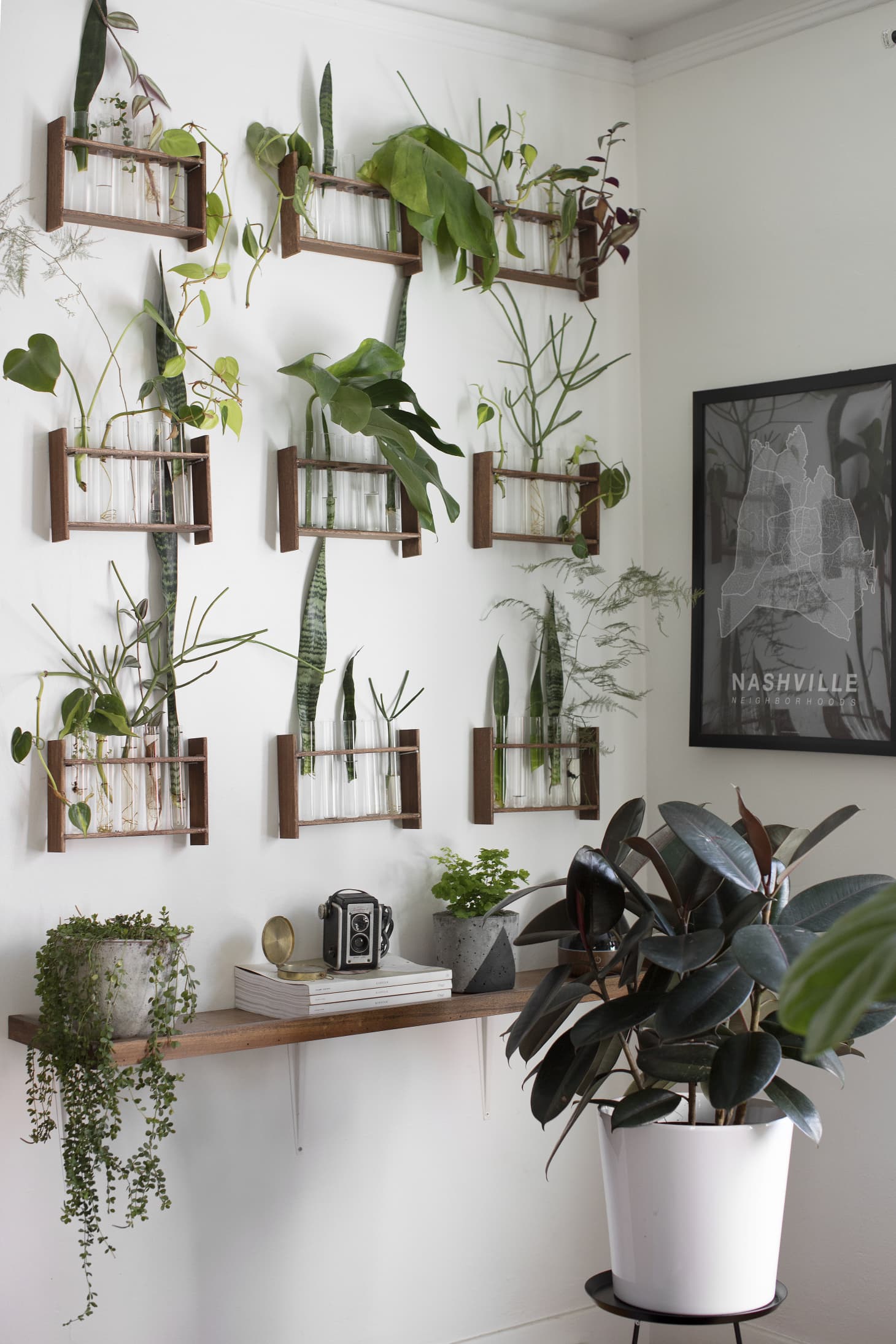 How to Display Houseplants: 65 of Our Favorite Plant-Display Ideas ...