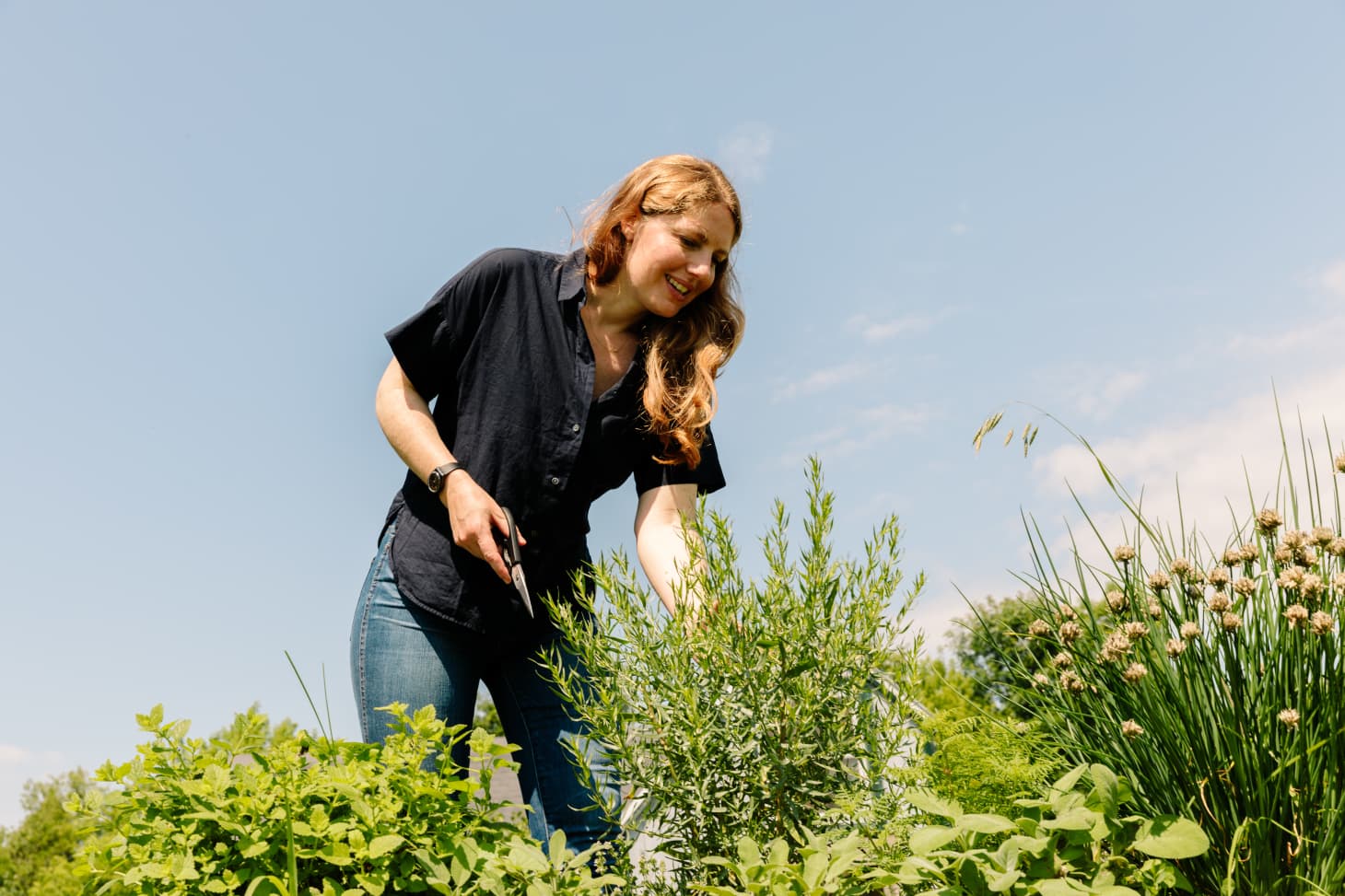 A Week of Veggie-Forward Dinners from Abra Berens, Author of Ruffage ...