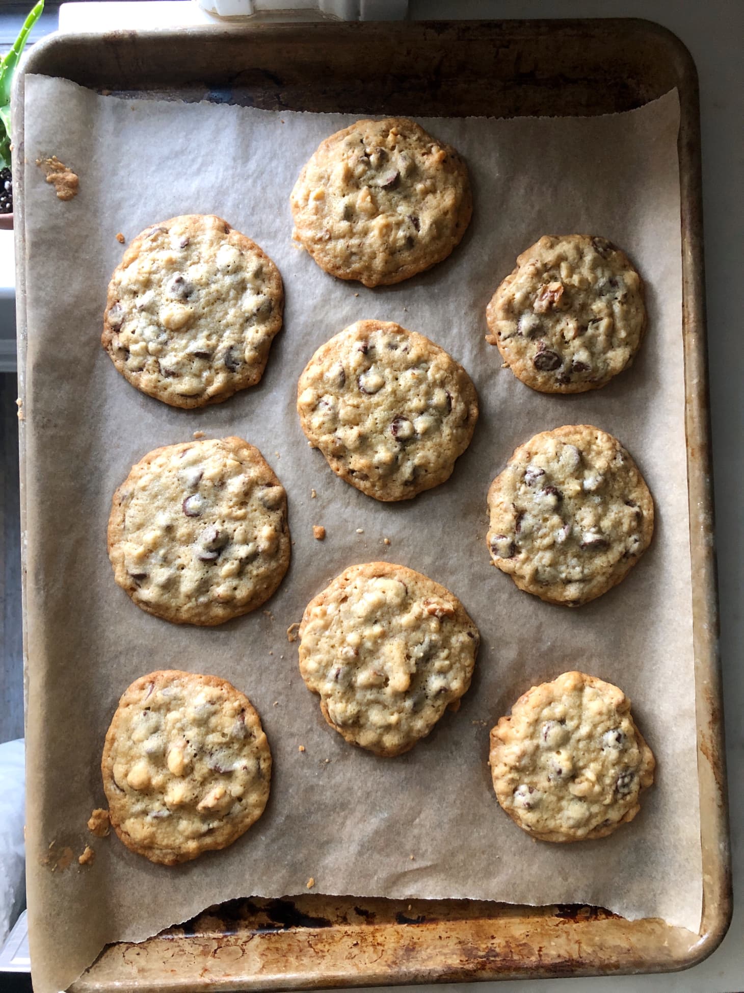 A Review of The DoubleTree's Signature Cookie Recipe | Kitchn