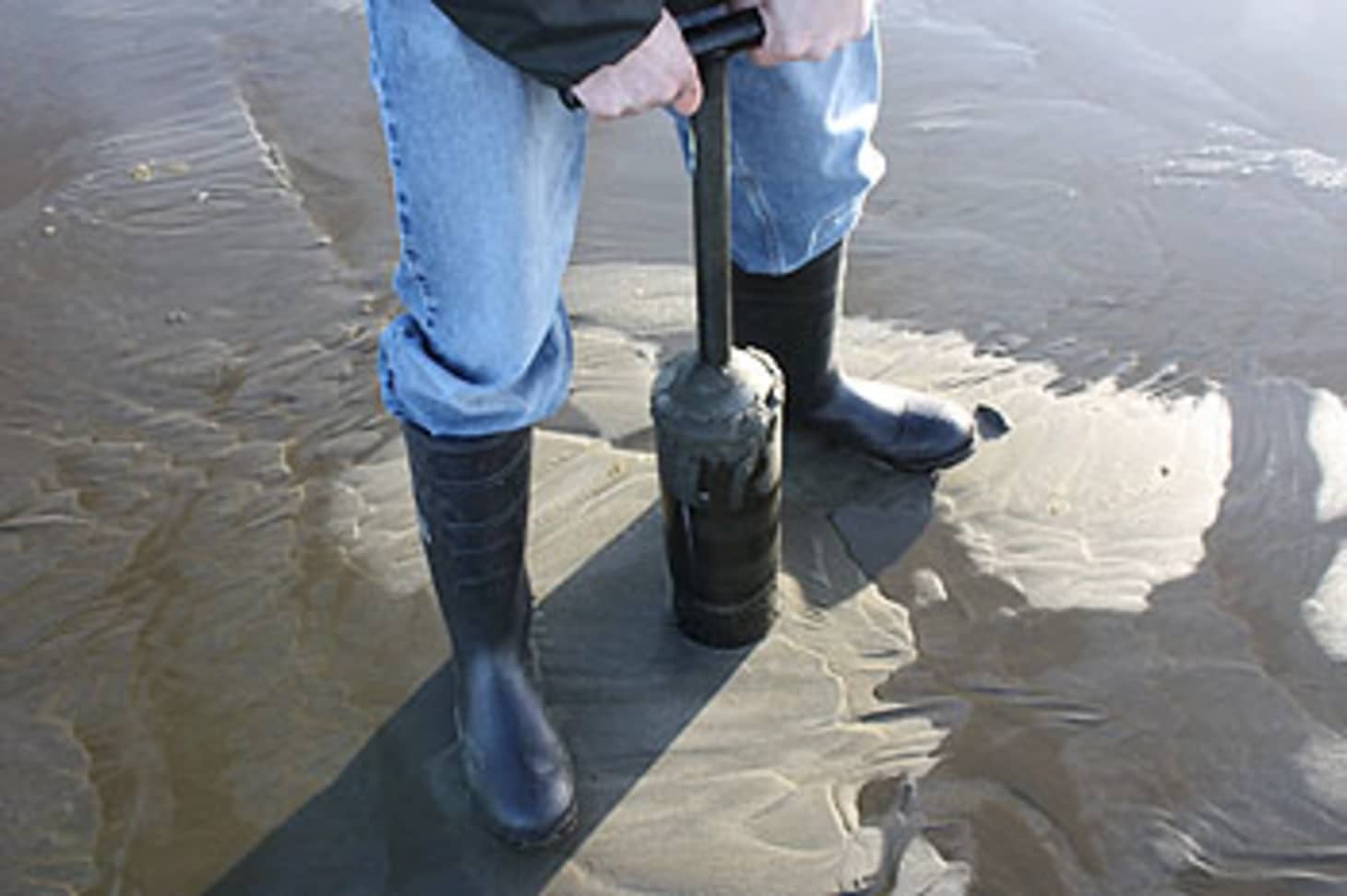 Look! Digging for Razor Clams on Not Martha | Kitchn