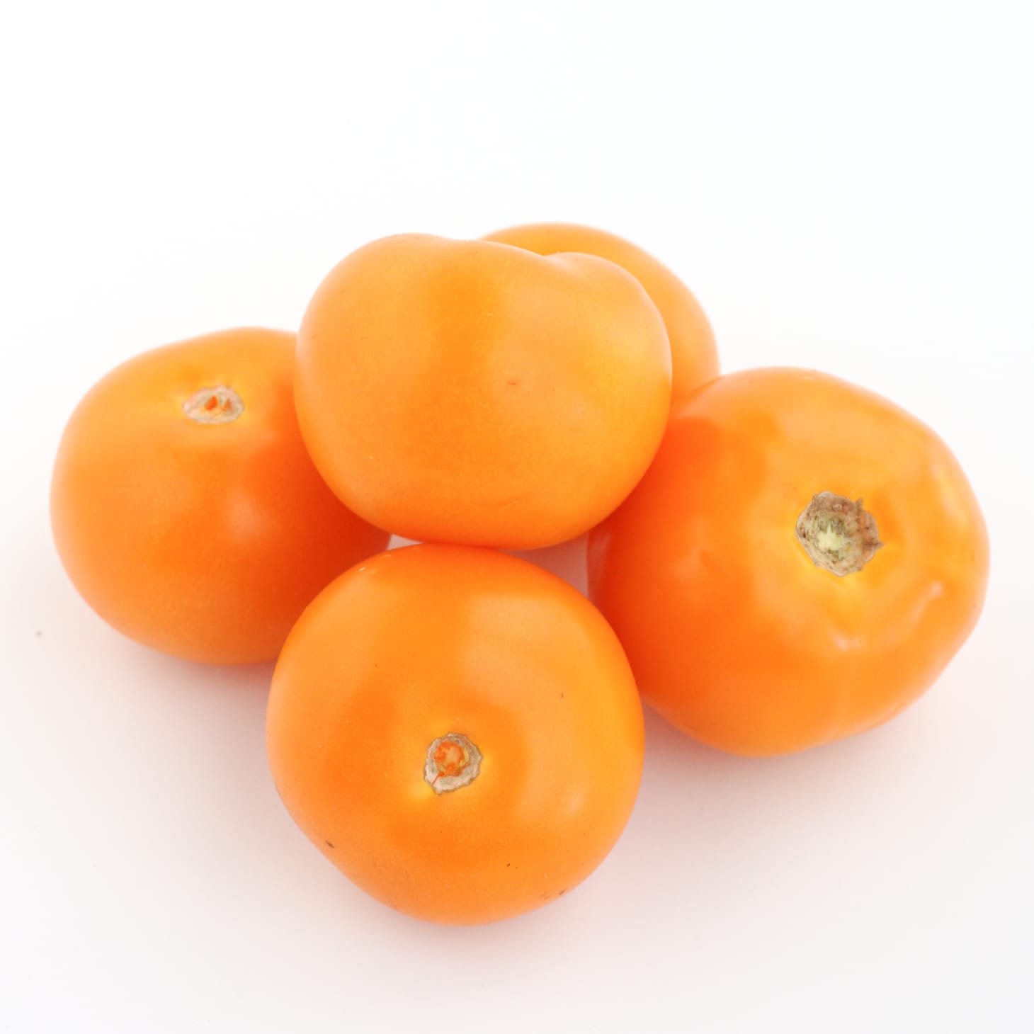 A Visual Celebration of Tomatoes of Every Color | Kitchn