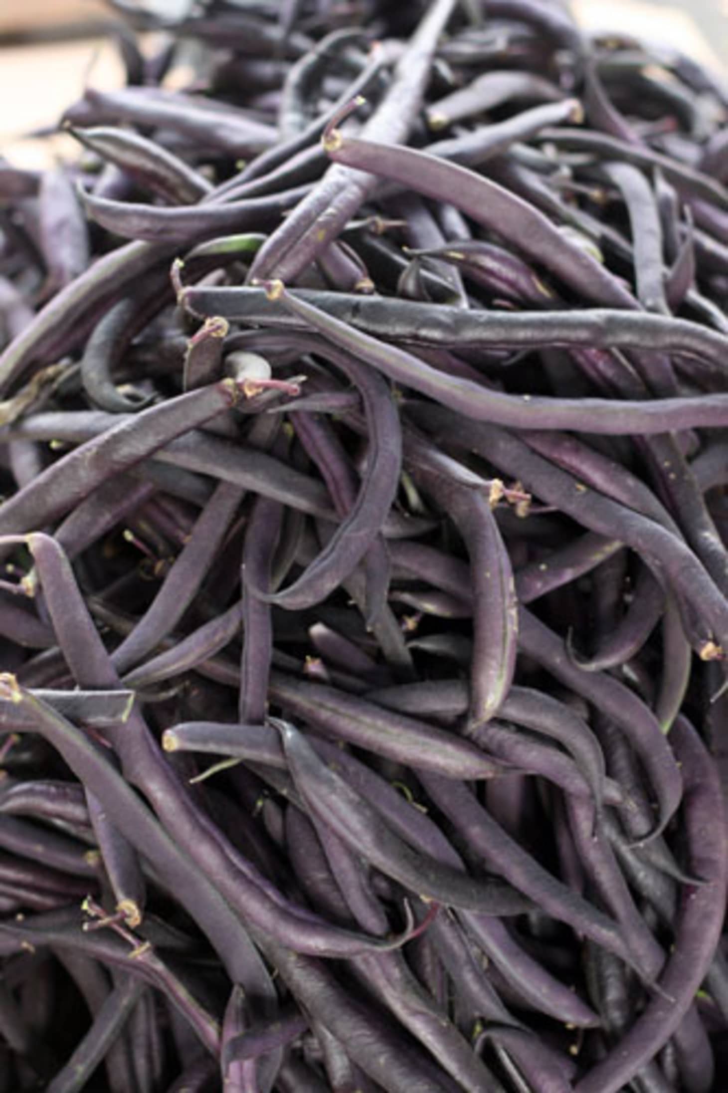 String Beans String beans images, stock photos & vectors