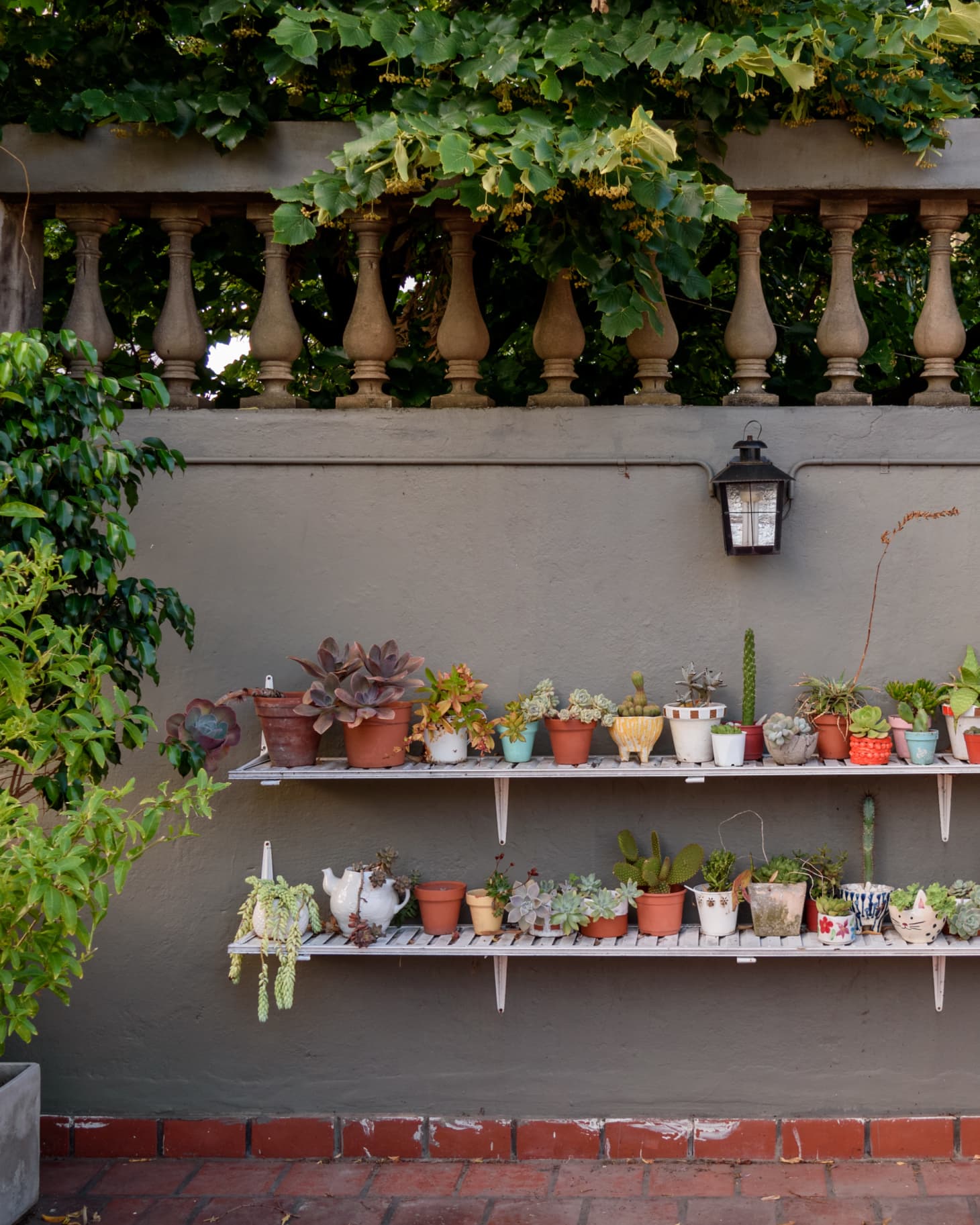 How to Display Houseplants: 65 of Our Favorite Plant-Display Ideas ...