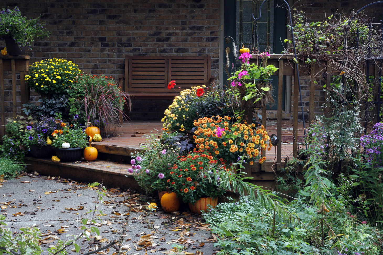 Easy Fall Landscaping Ideas To Increase Curb Appeal | Apartment Therapy