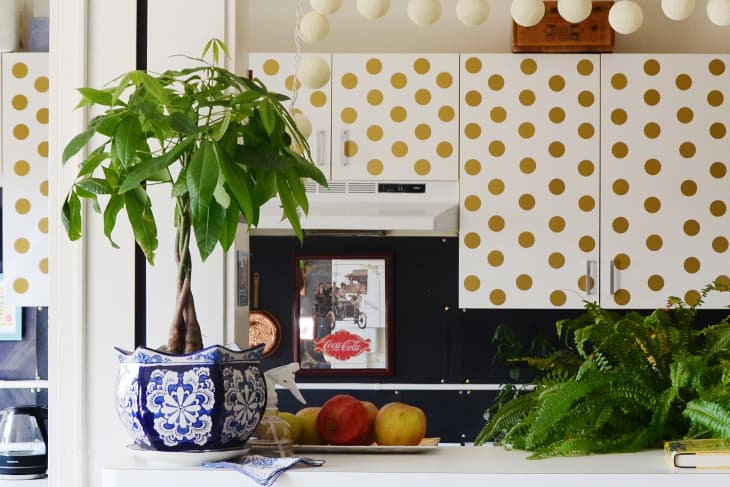 2020 Plant Trends | Apartment Therapy