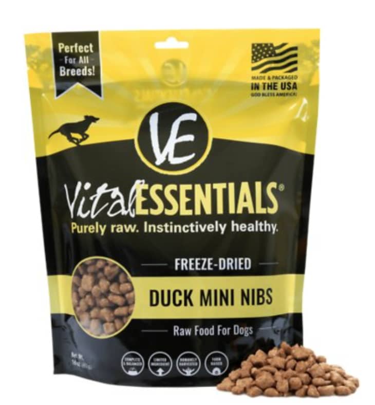 Vet-Approved Kibble Alternatives for Dogs | The Kitchn