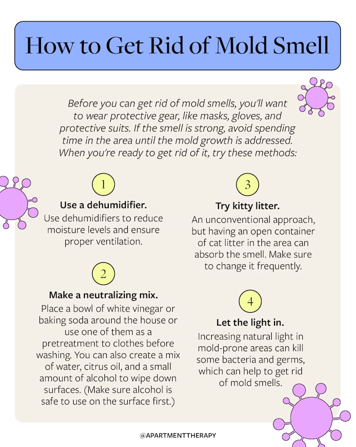4 Methods to Try to Help You Get Rid of Mold Smell | Apartment Therapy