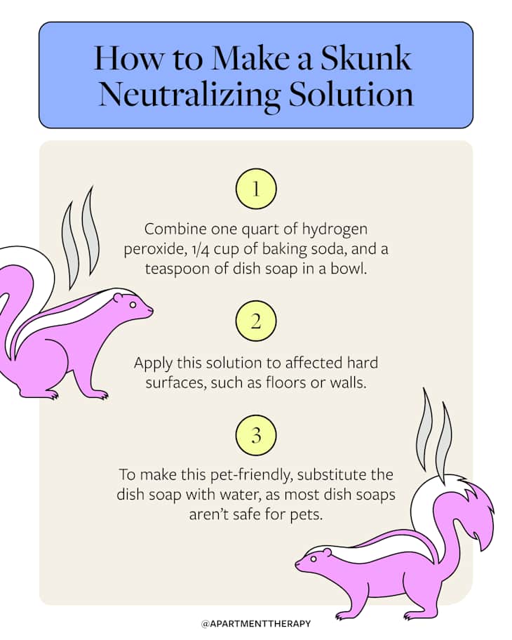 How to Get Rid of Skunk Smells | Apartment Therapy