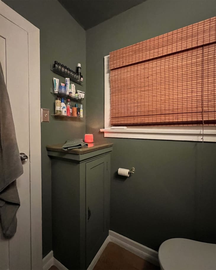 A Small “Dingy” Bathroom Gets a Dark Green Makeover | Apartment Therapy