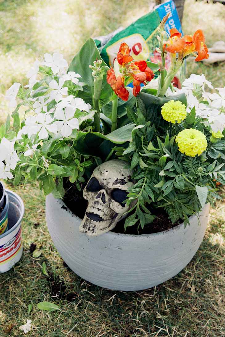 I Tried the “Spill, Fill, Thrill” Method for Filling Fall Planters ...