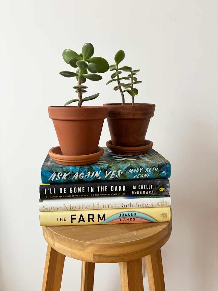 Why I’ll Never Bottom Water My Plants Again (Ever!) | Apartment Therapy