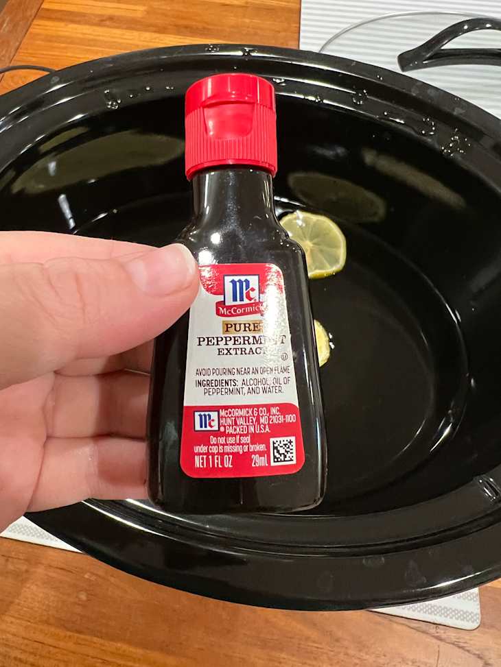 I Made a Fall Simmer Pot & I’m Never Going Back to Candles | Apartment ...