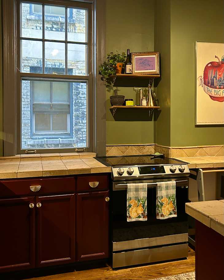 See a Chicago Apartment Kitchen’s Jewel-Toned Transformation ...