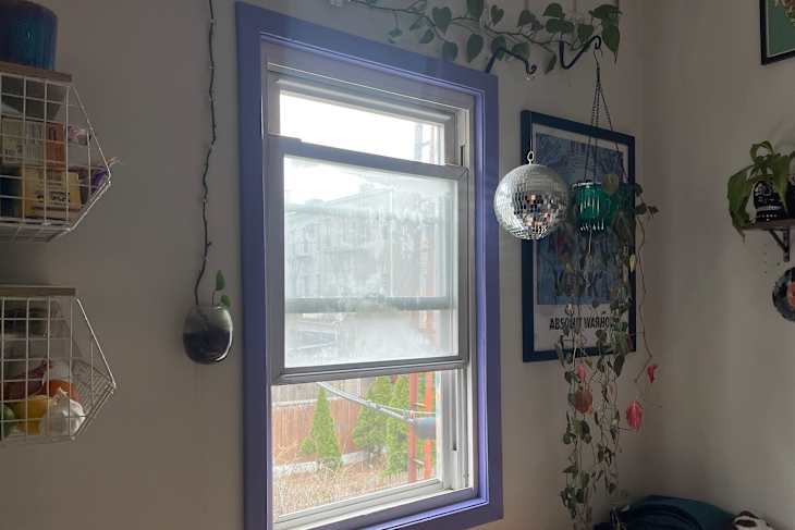 The $12 Paint Project I Did in Every Room of My Apartment | Apartment ...