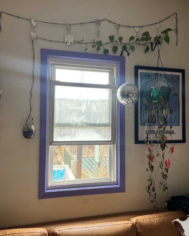 The $12 Paint Project I Did in Every Room of My Apartment | Apartment ...