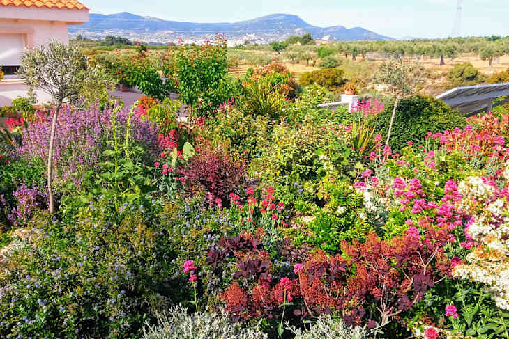 Chicken Pellets Are a Gross (but Successful) Gardening Hero | Apartment ...