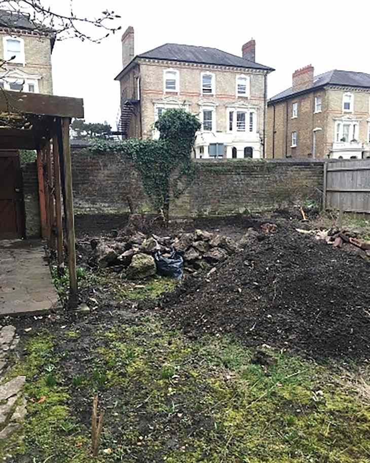 I Transformed My Run-Down Yard to Match My Minimalist Style | Apartment ...