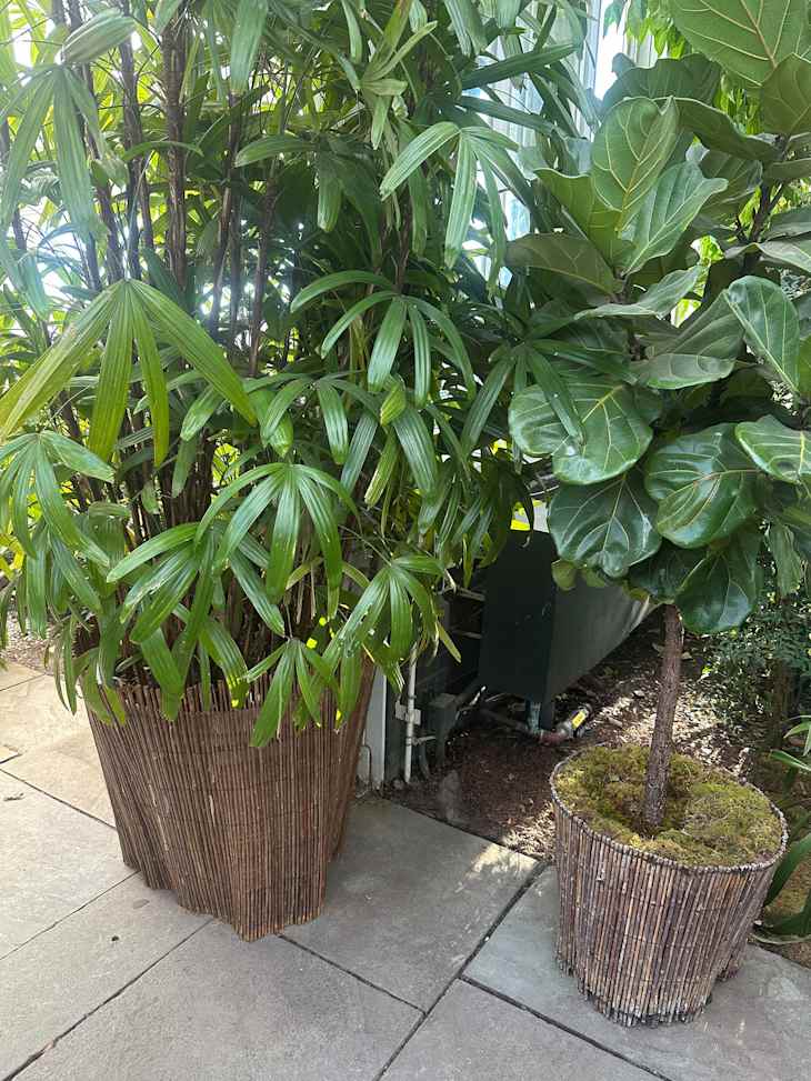 How to Make a Plain Planter Look Luxe with Reed Fencing | The Kitchn