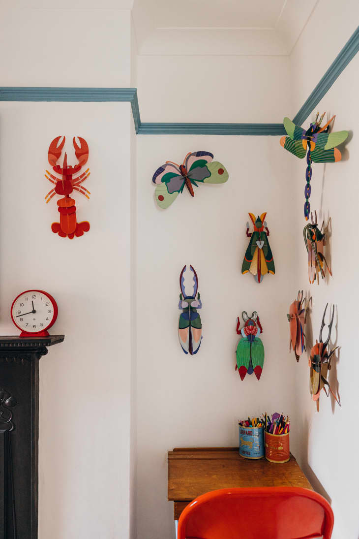 Boy's Bug Decor Bedroom (Photos) | Cubby