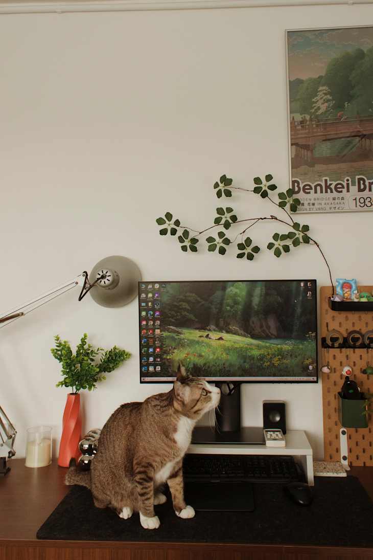 See Inside an Organized 312-Square-Foot Bangkok Studio | Apartment Therapy